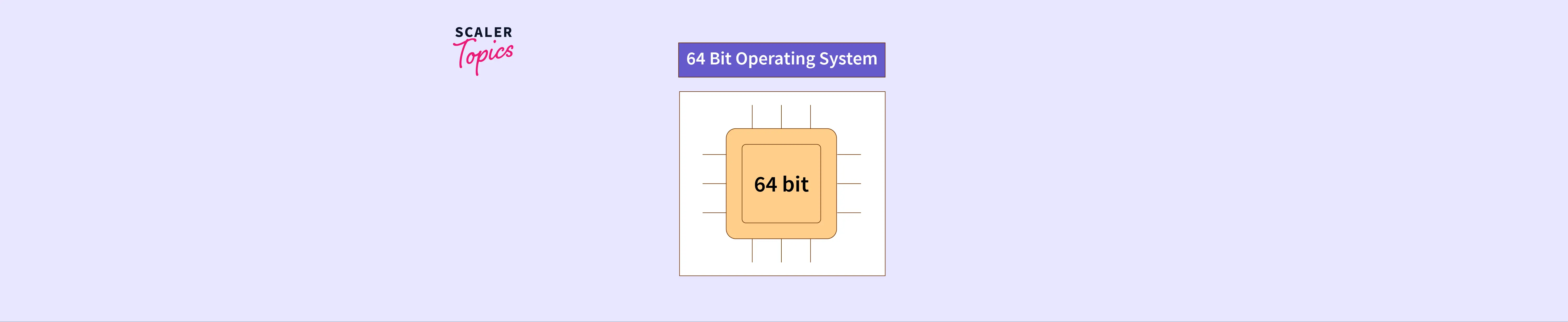 32 Bit Vs 64 Bit - What's the Difference?- Scaler Topics
