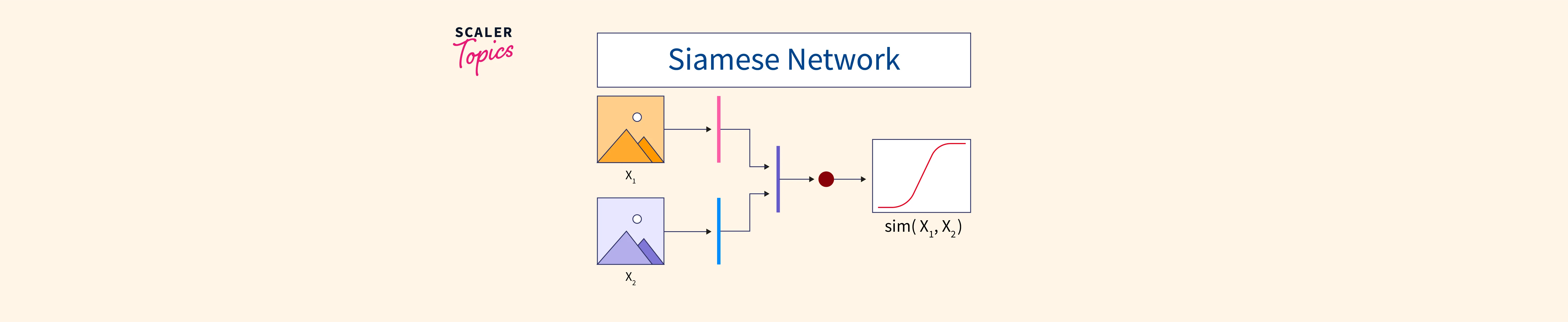 Siamese Networks - Scaler Topics