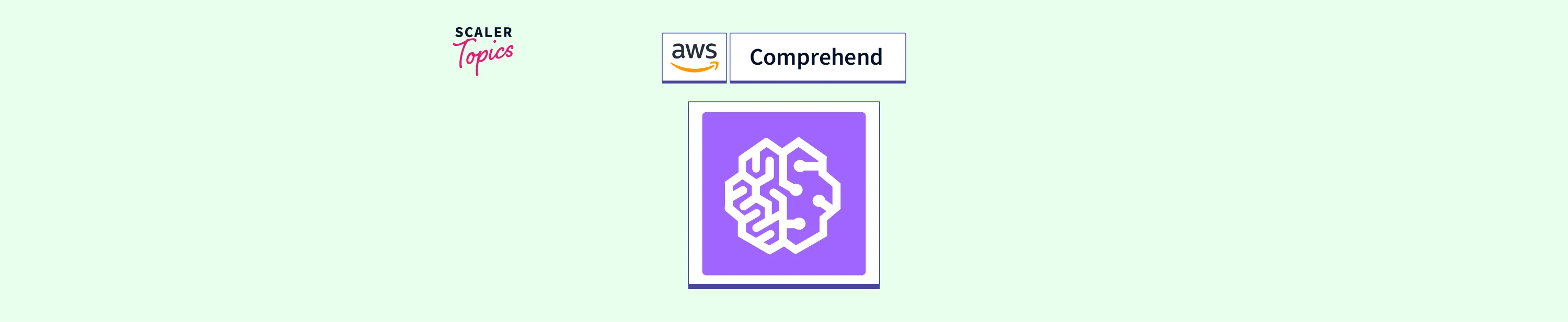 Amazon Comprehend Scaler Topics 7779