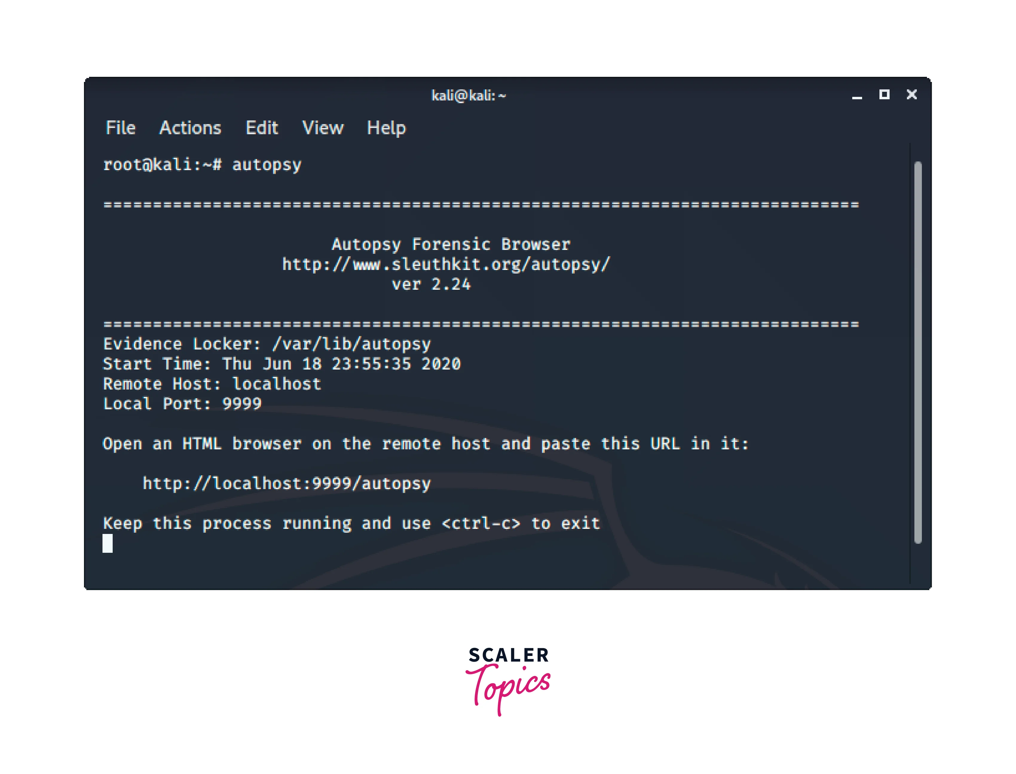 Top Kali Linux tools For 2023 - Scaler Topics