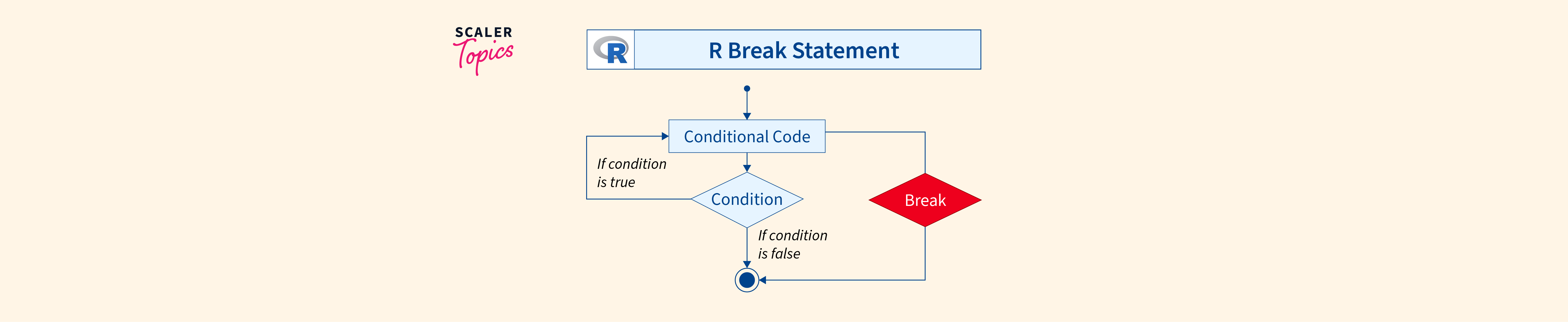 R Break Statement - Scaler Topics