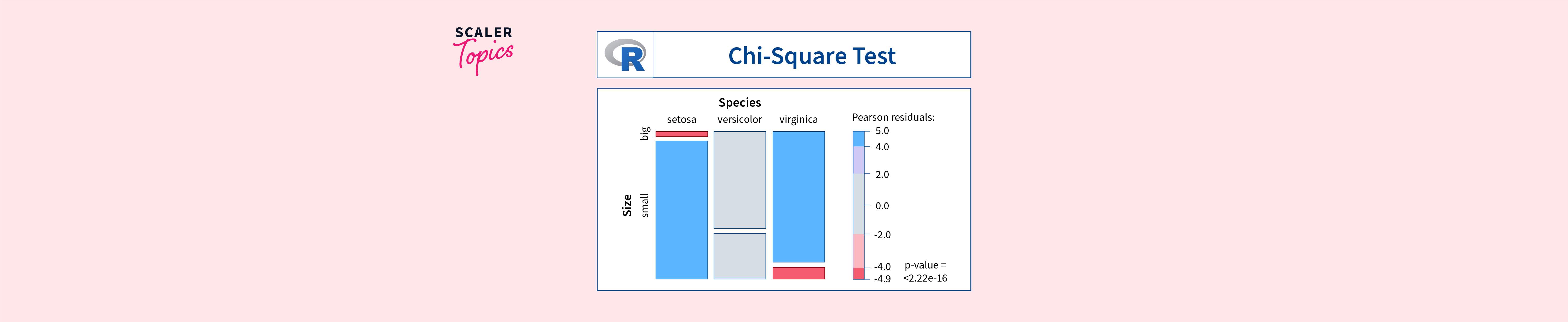 Chi-Square Test in R - Scaler Topics