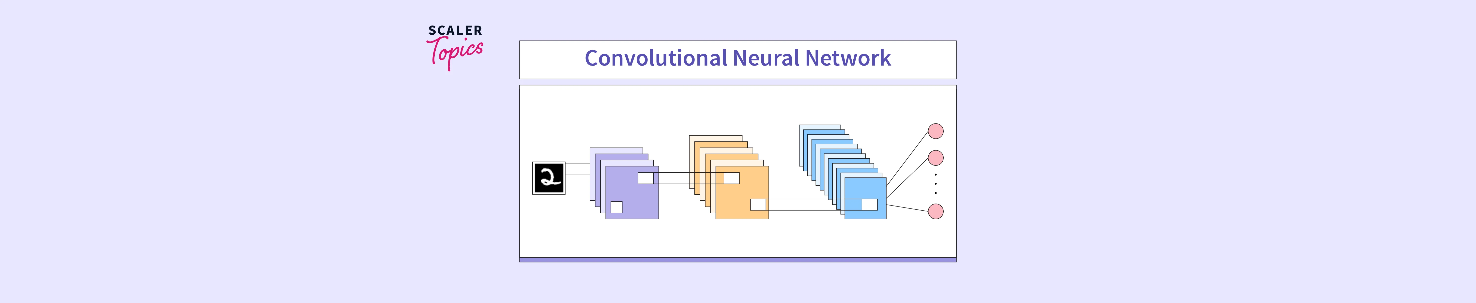 Convolutional Neural Network - Scaler Topics