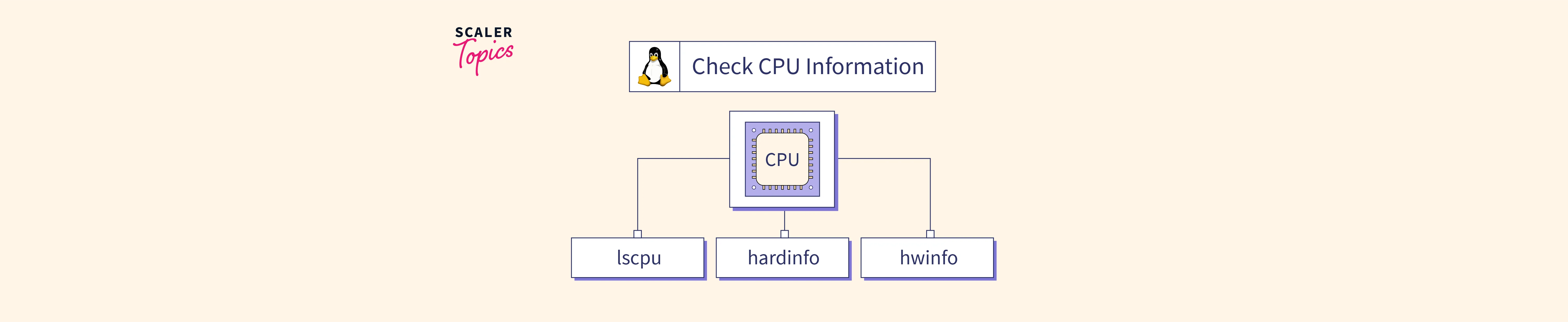 How to Check CPU Information on Linux? - Scaler Topics