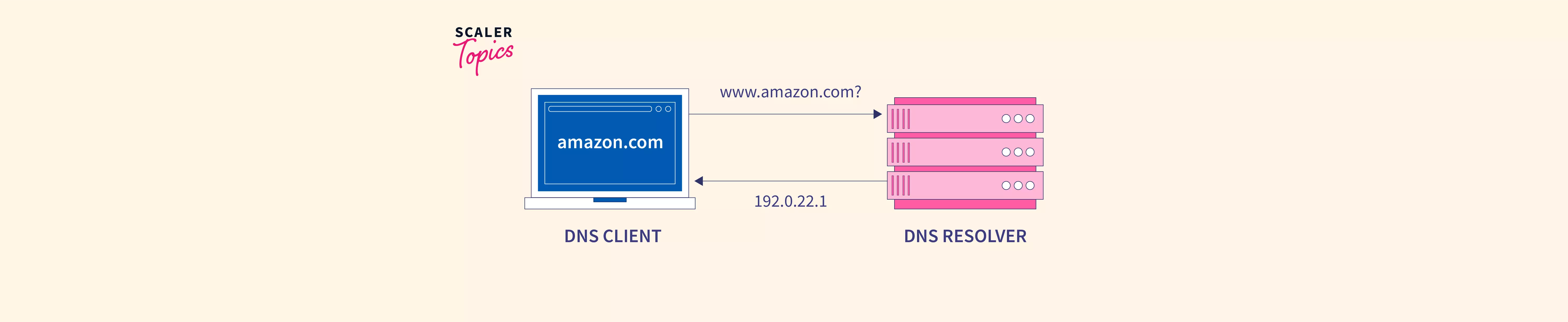 What is DNS (Domain Name System)? - Scaler Topics