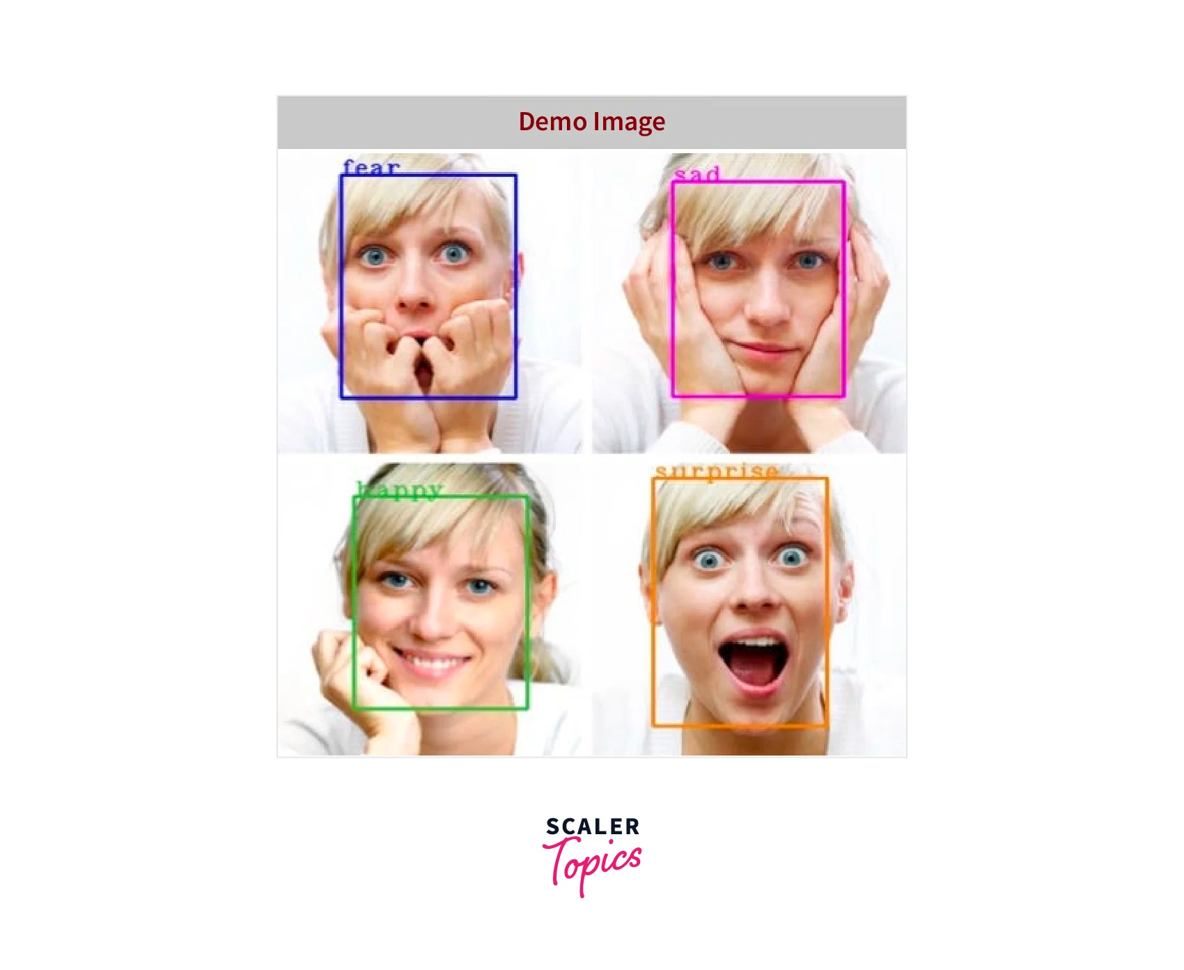 MeanShift and CamShift in Computer Vision - Scaler Topics