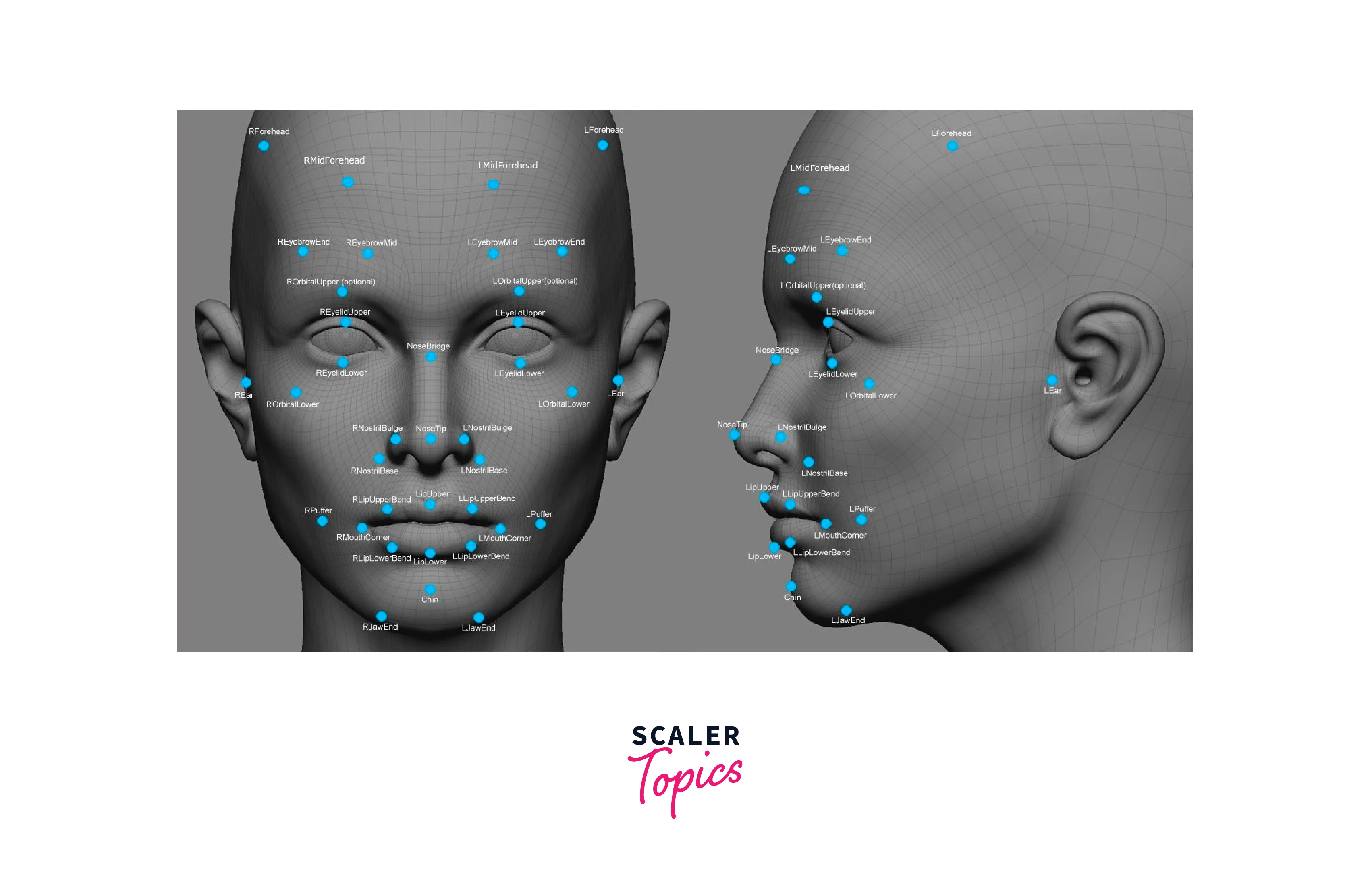 Fundamental Steps In Digital Image Processing - Scaler Topics