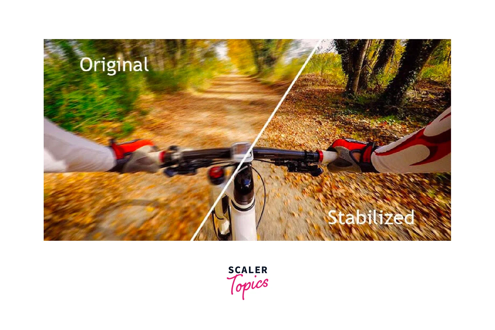 Motion Estimation using Optical Flow - Scaler Topics