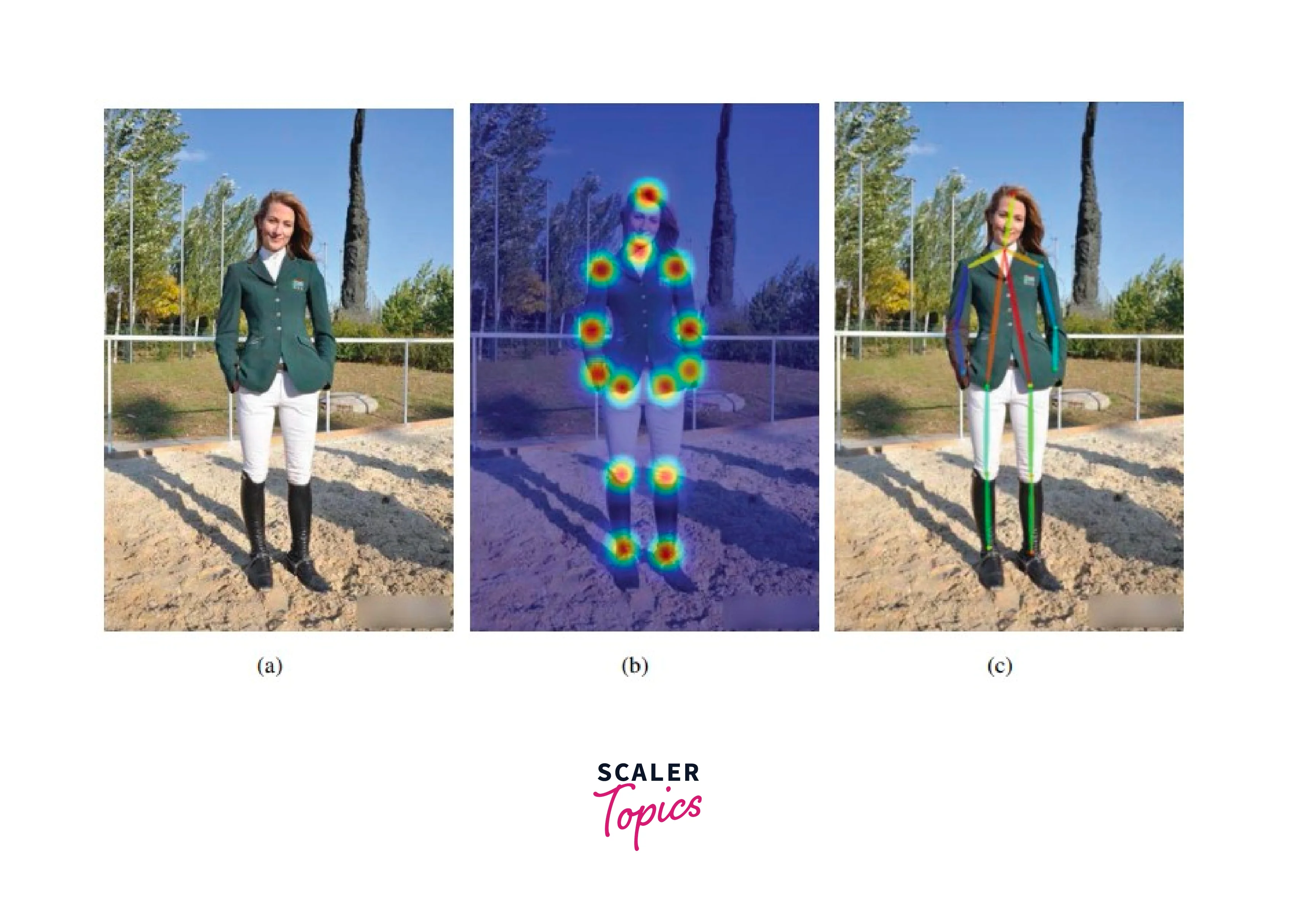 Human Pose Estimation in Deep Learning - Scaler Topics