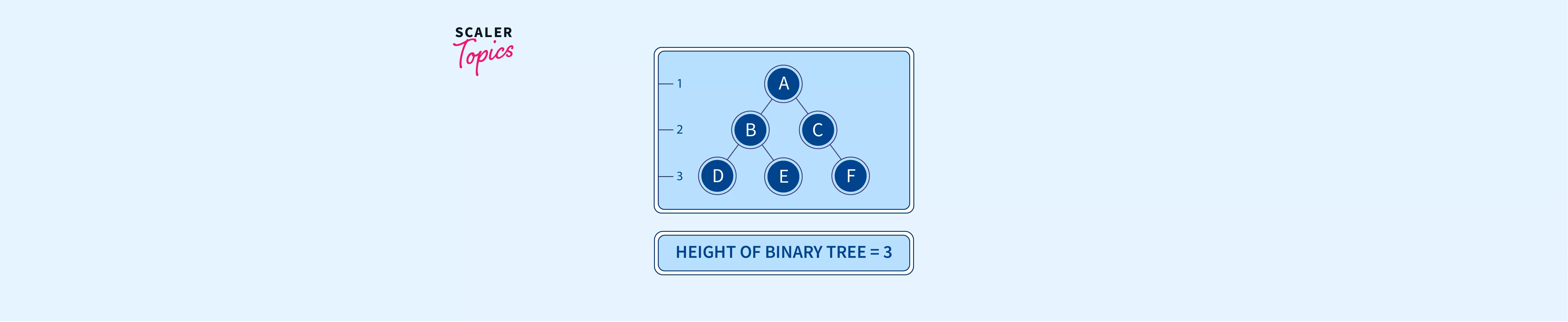 Height of Binary Tree - Scaler Topics