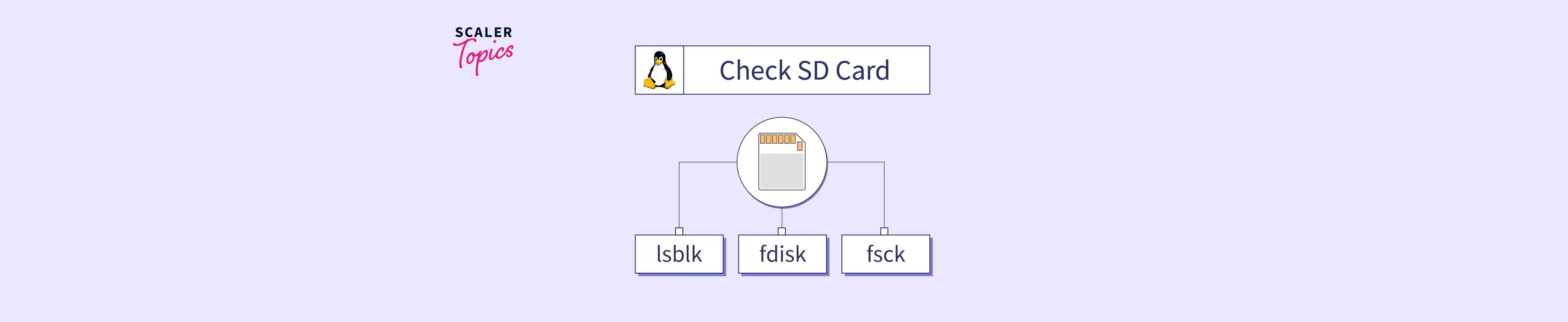 How to Check SD Card in Linux? - Scaler Topics