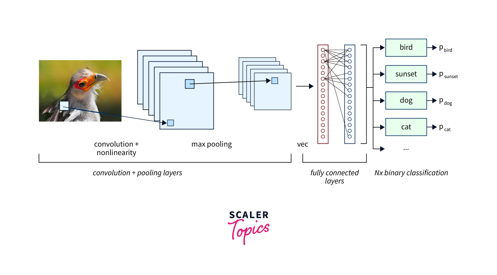 Image Features in Image Processing - Scaler Topics
