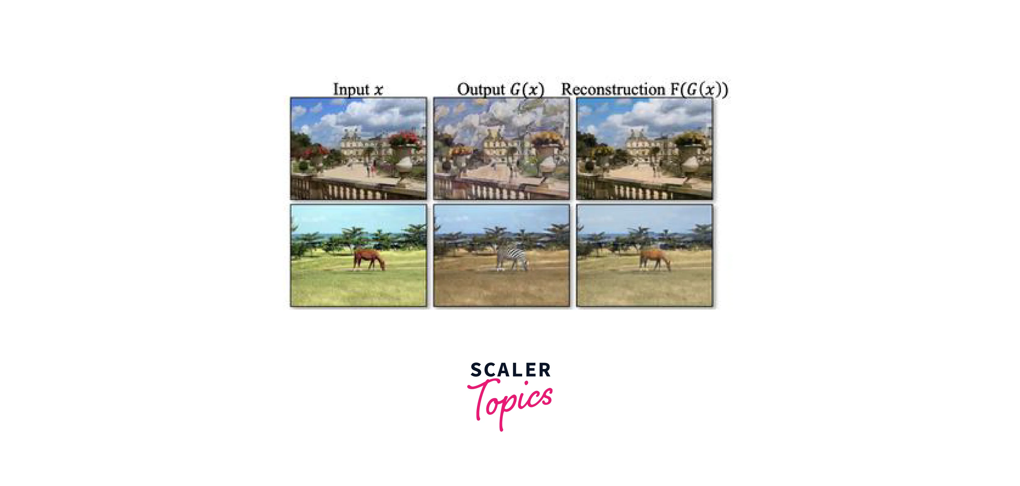 What is CycleGAN and How it Works? - Scaler Topics