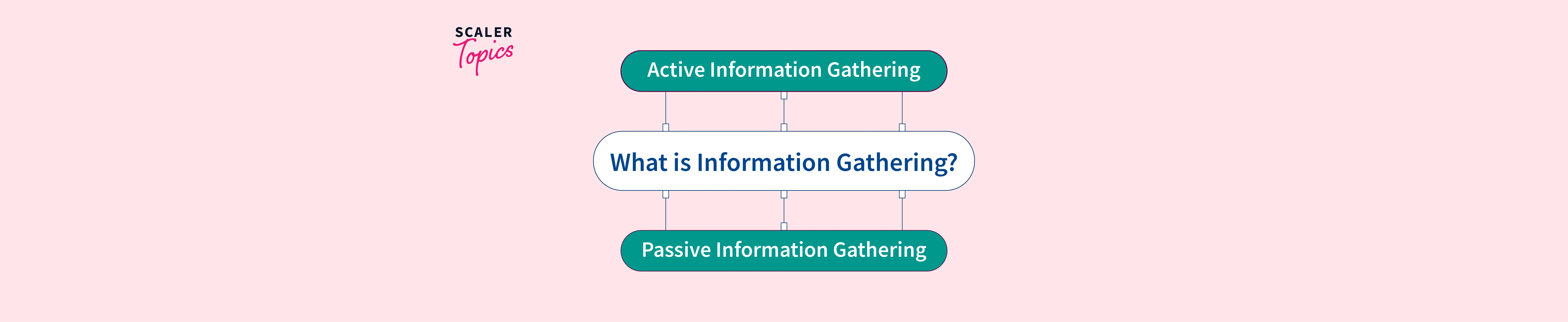 Information Gathering in Cyber Security - Scaler Topics