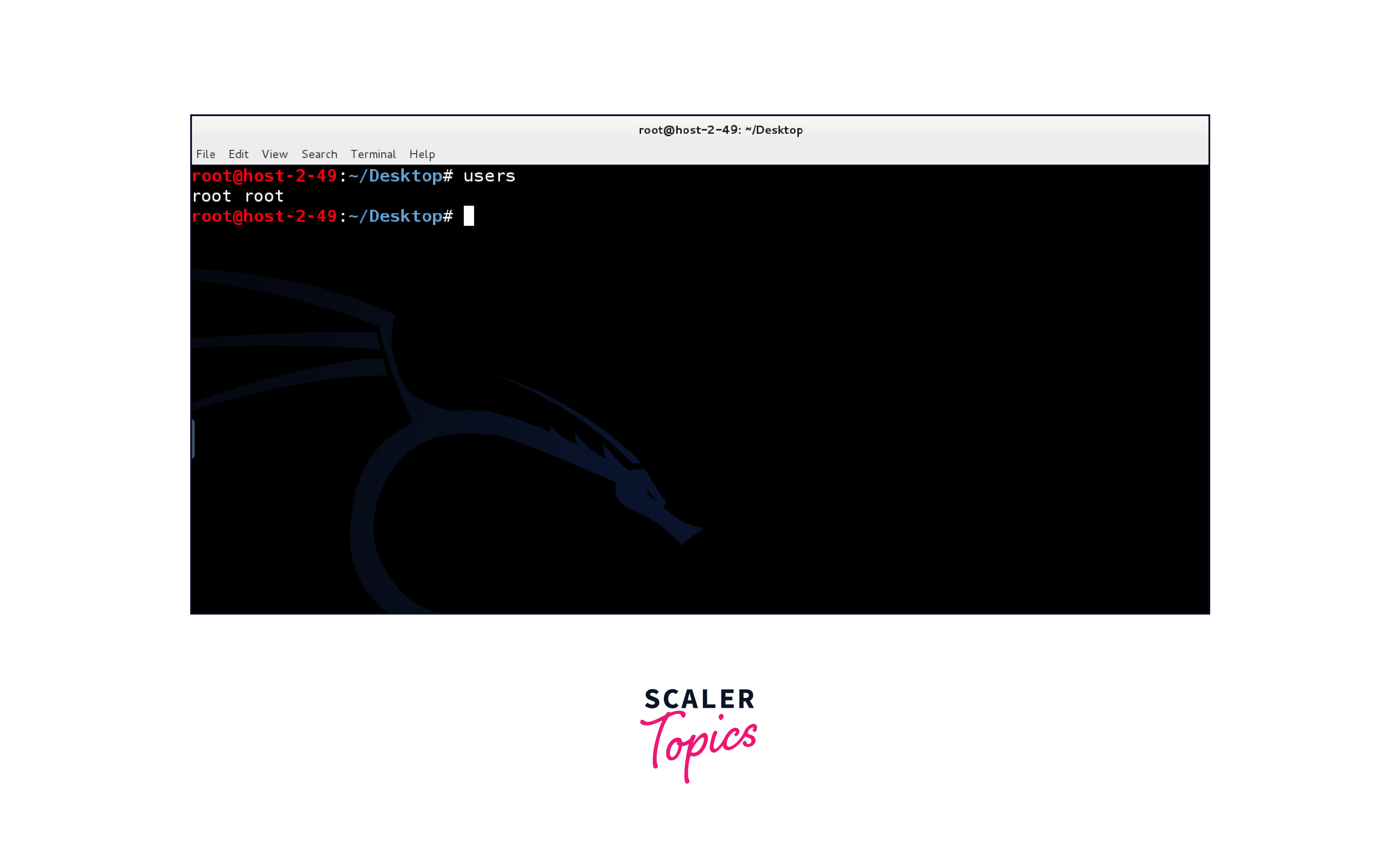 Top 20 Basic Kali Linux Commands - Scaler Topics
