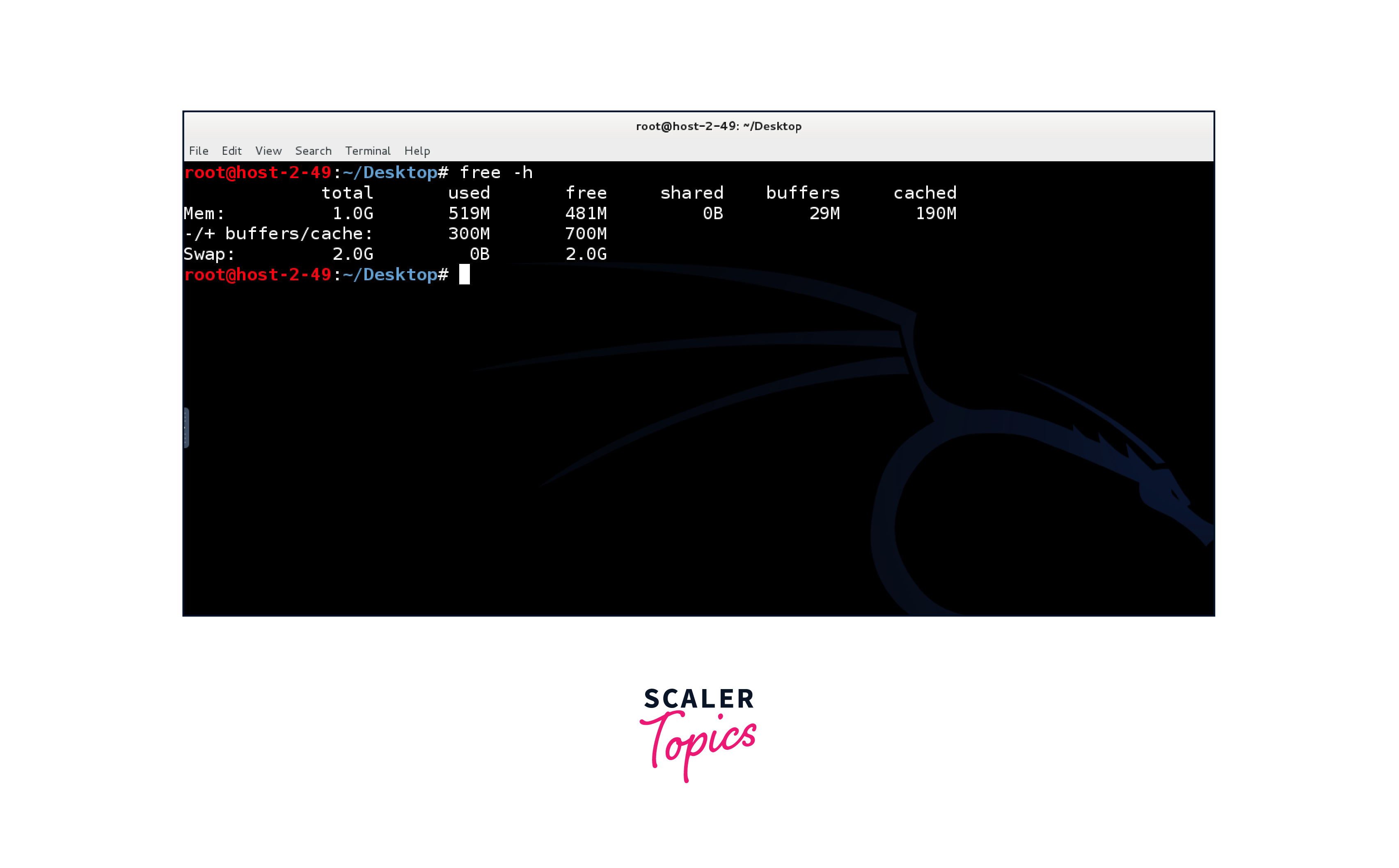 Top 20 Basic Kali Linux Commands - Scaler Topics