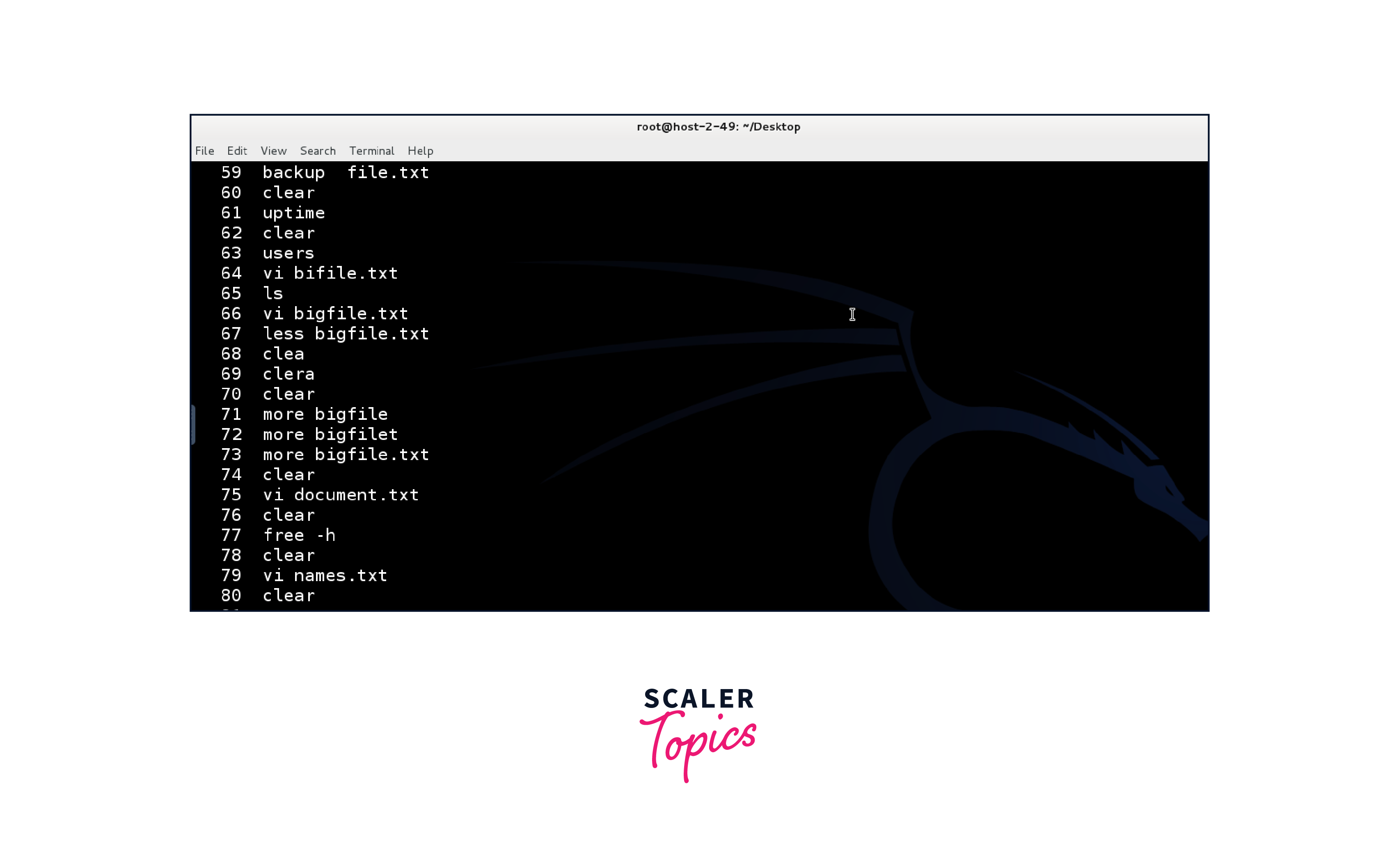 Top 20 Basic Kali Linux Commands - Scaler Topics