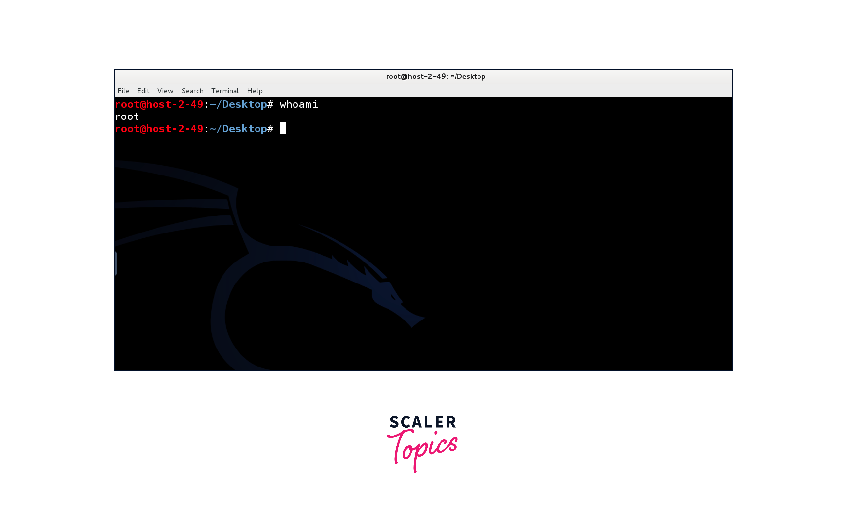 Top 20 Basic Kali Linux Commands - Scaler Topics