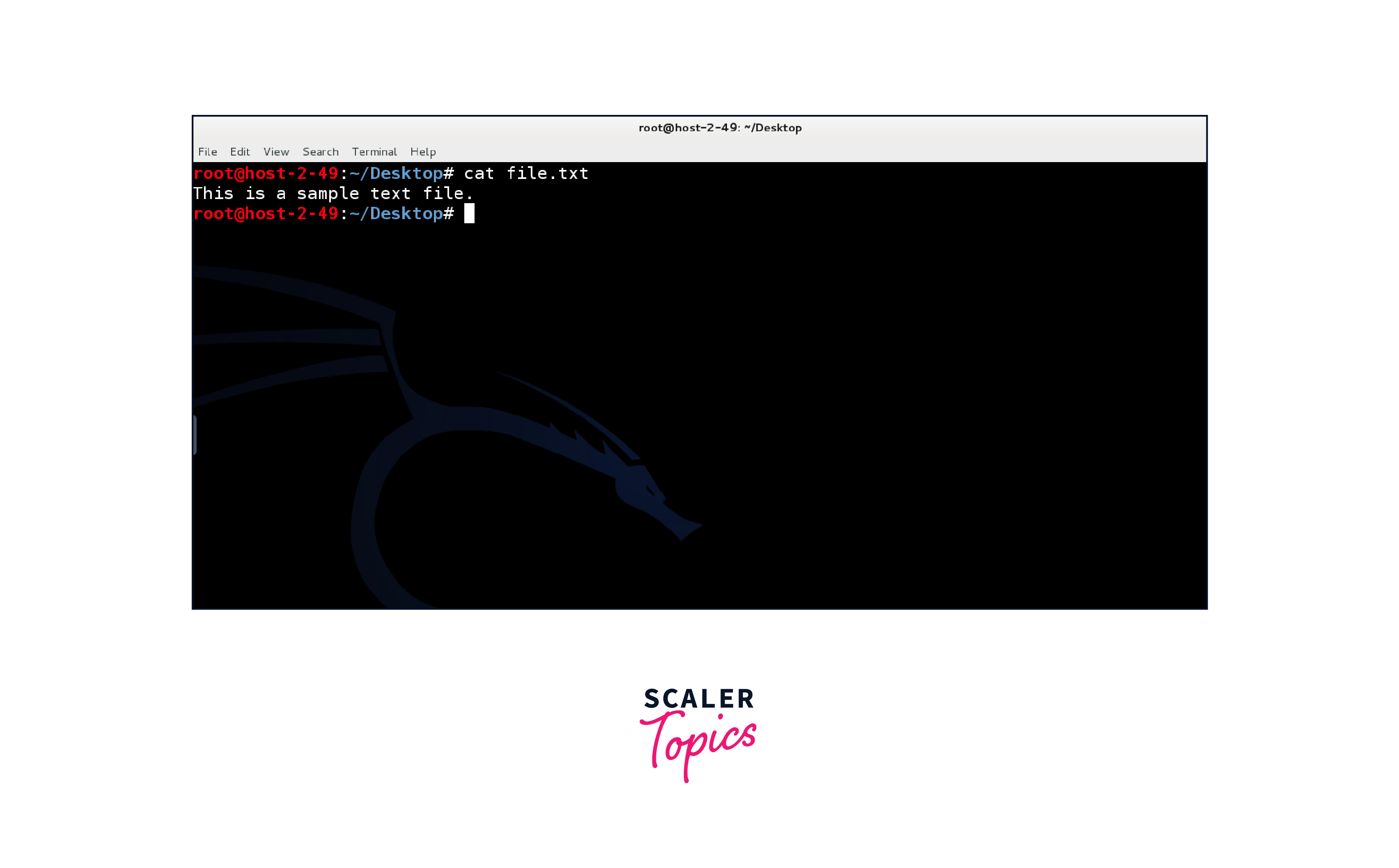 Top 20 Basic Kali Linux Commands - Scaler Topics