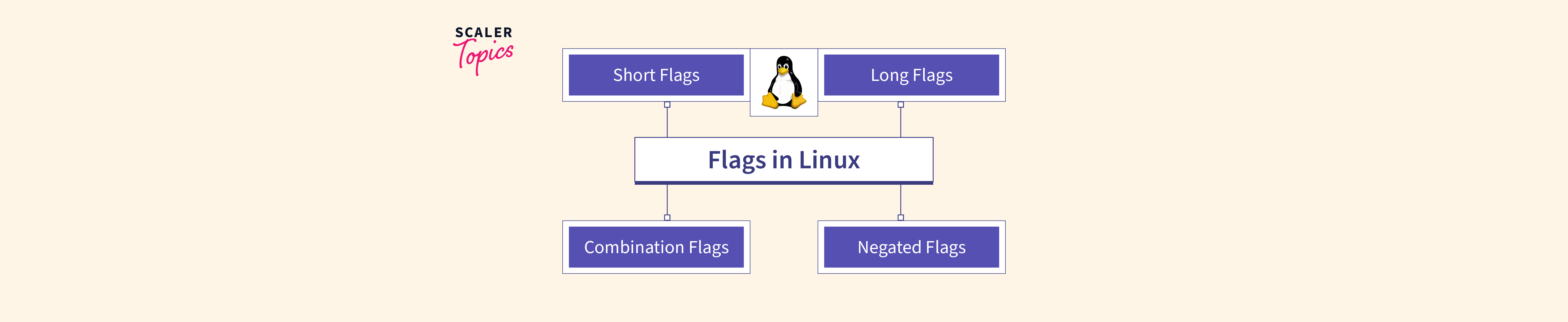 What are Flags in Linux? - Scaler Topics