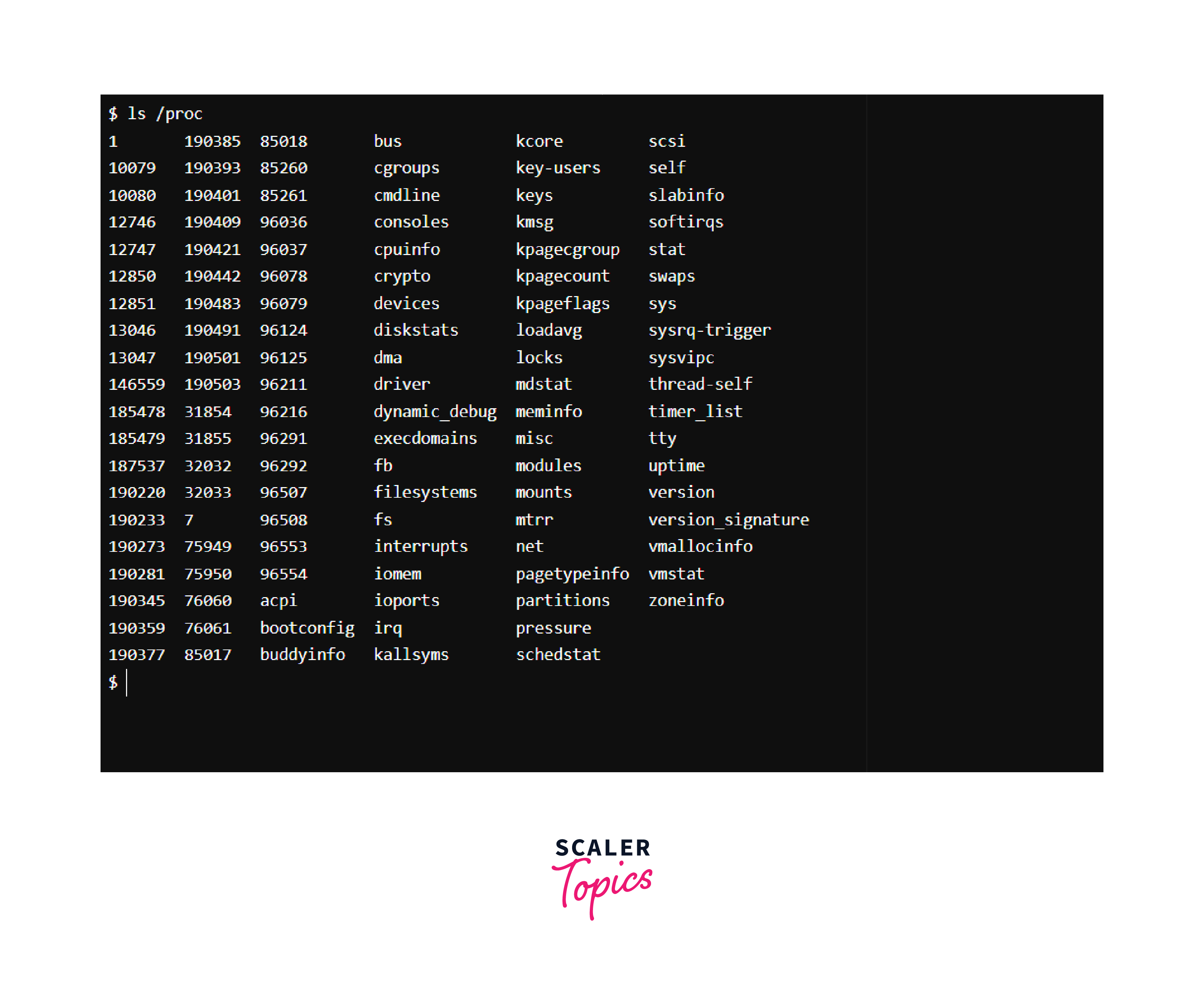 What is proc in Linux? - Scaler Topics