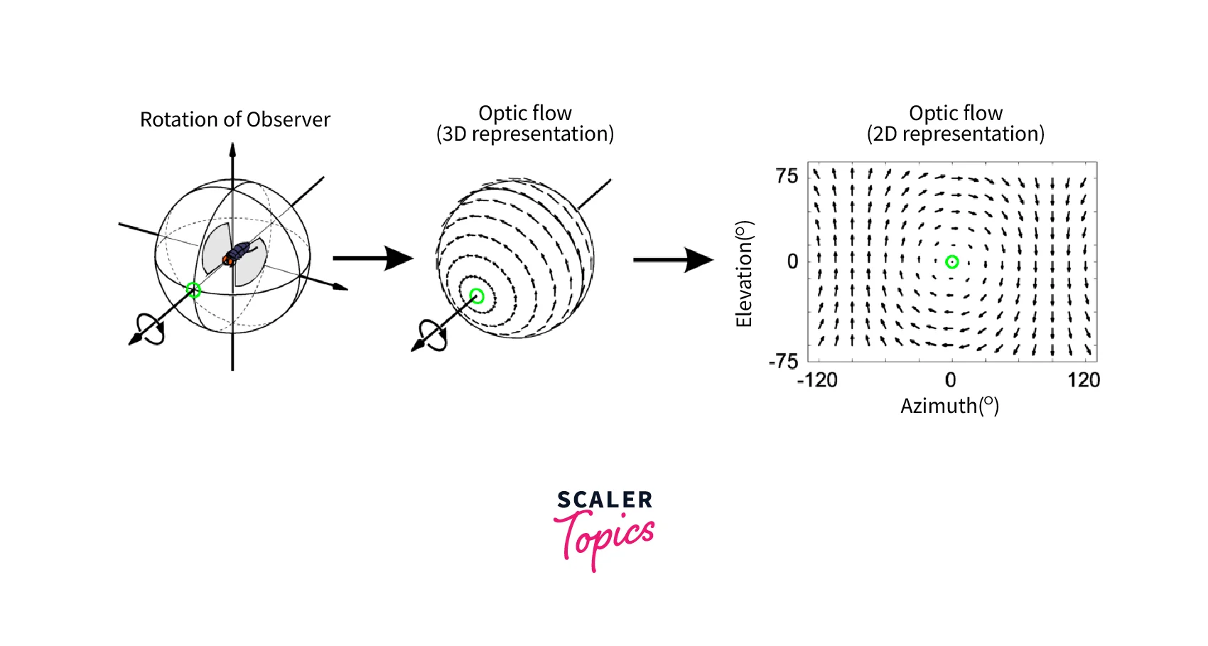 Motion Estimation using Optical Flow - Scaler Topics