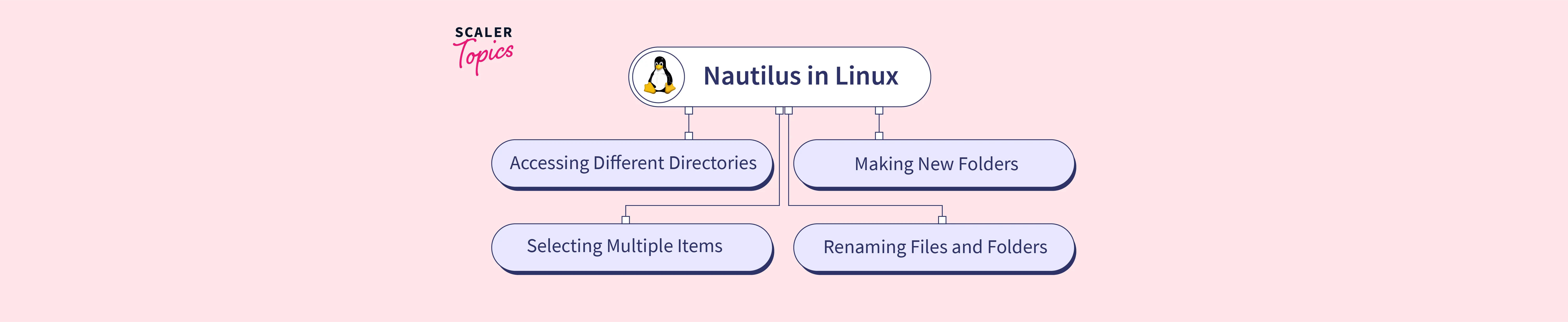 How to Use Nautilus in Linux? - Scaler Topics