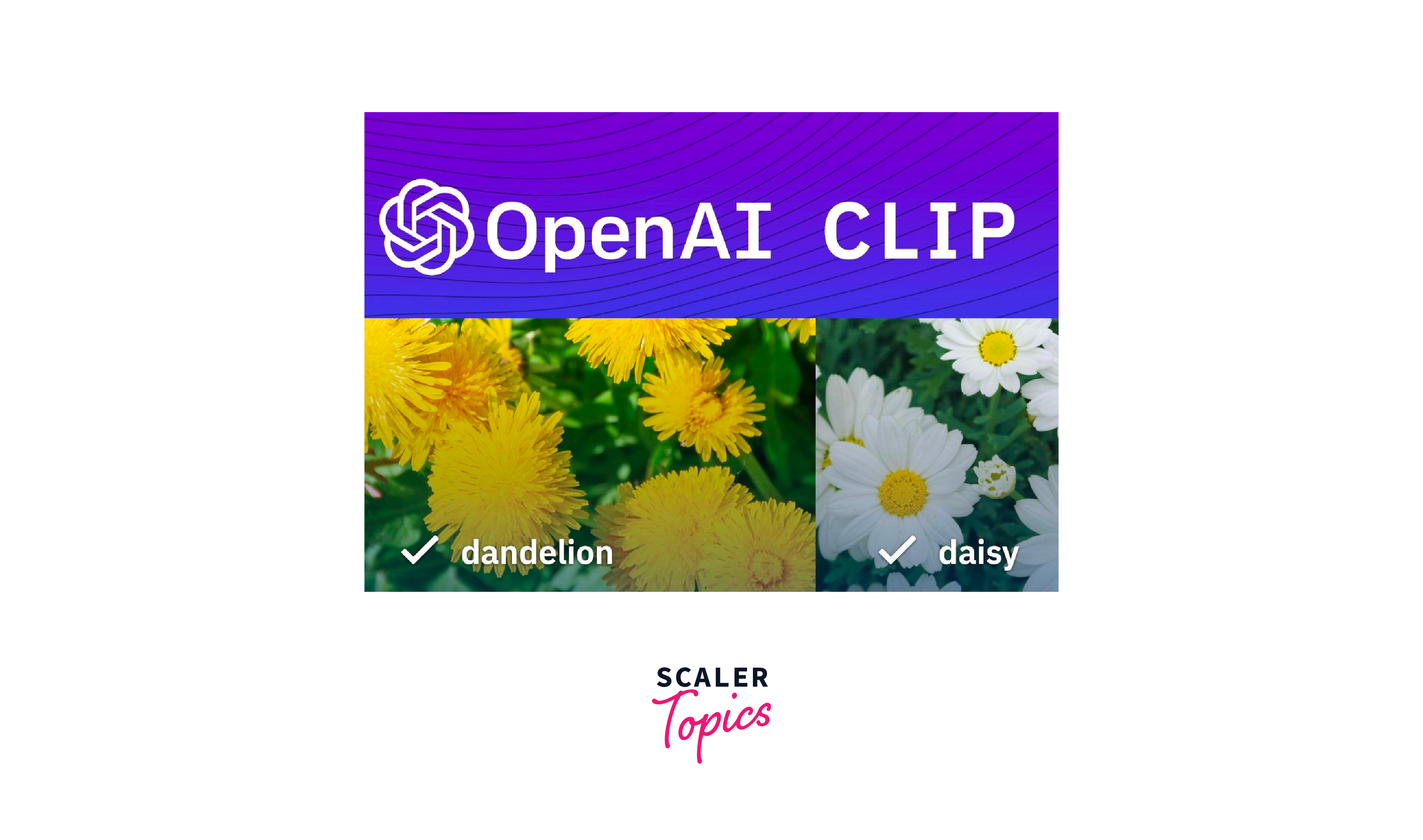 OpenAI Models - Scaler Topics