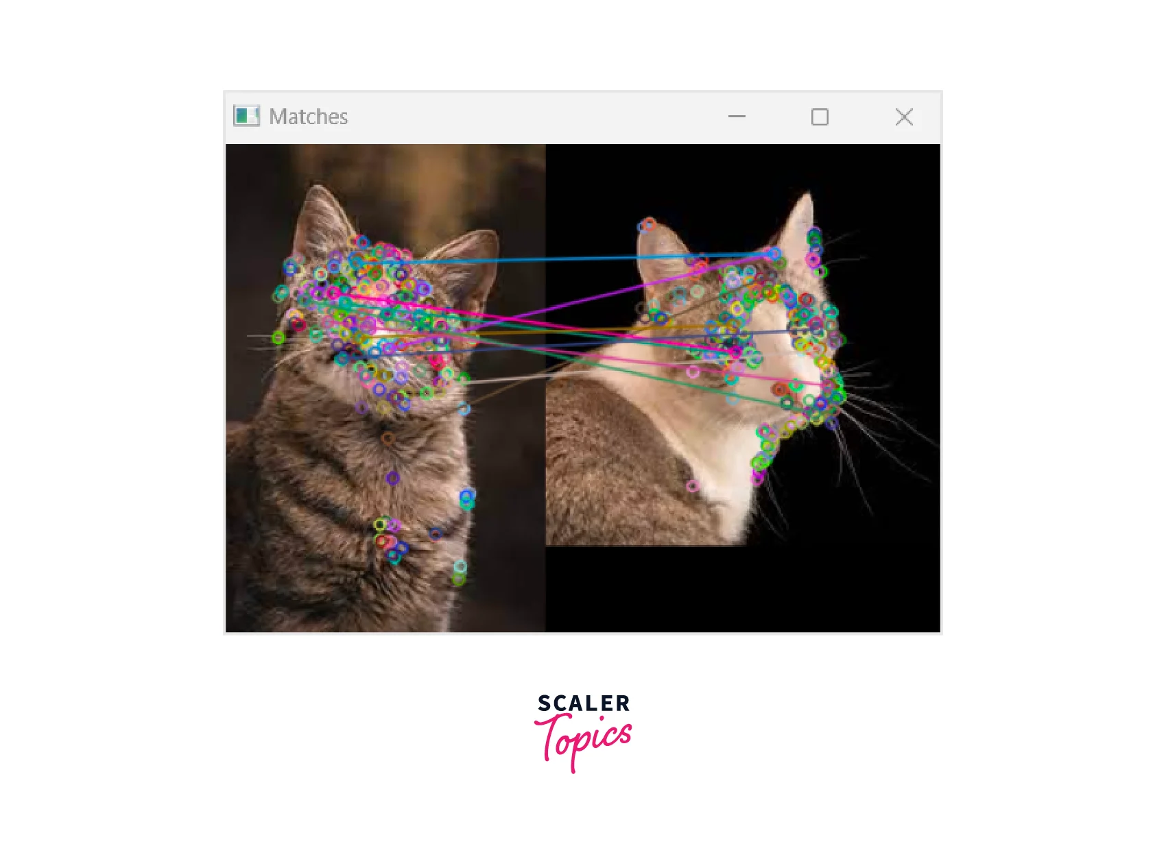 Image Features in Image Processing - Scaler Topics