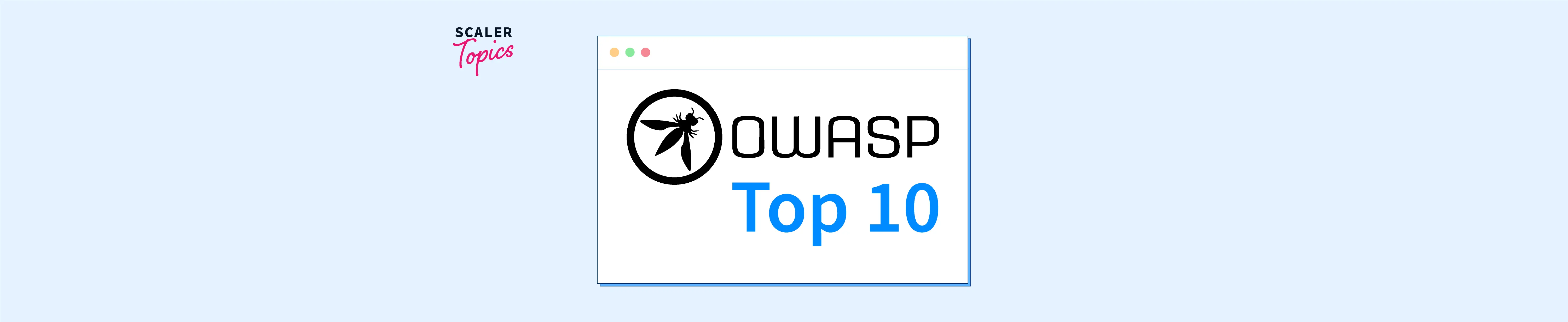 What is OWASP Top 10 and Why is It Important? - Scaler Topics