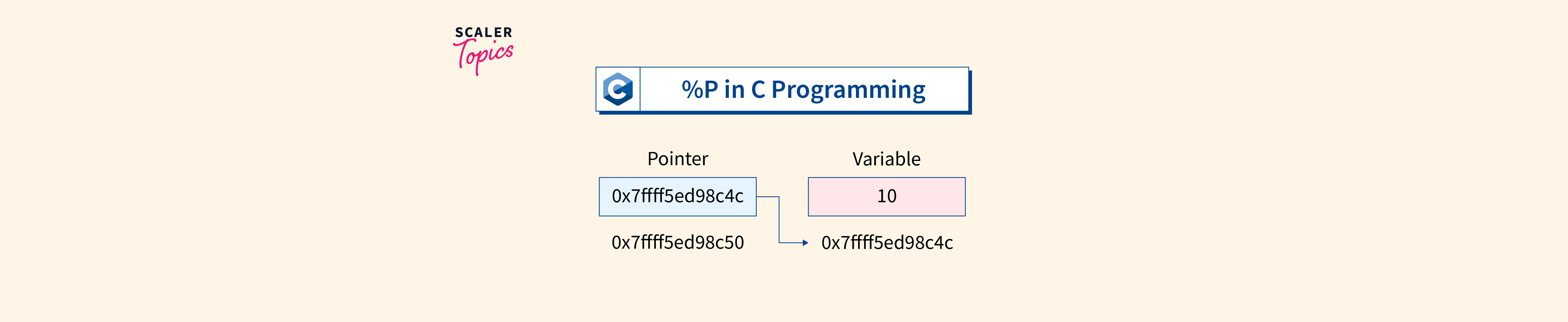 What Is The Use Of P In C Scaler Topics