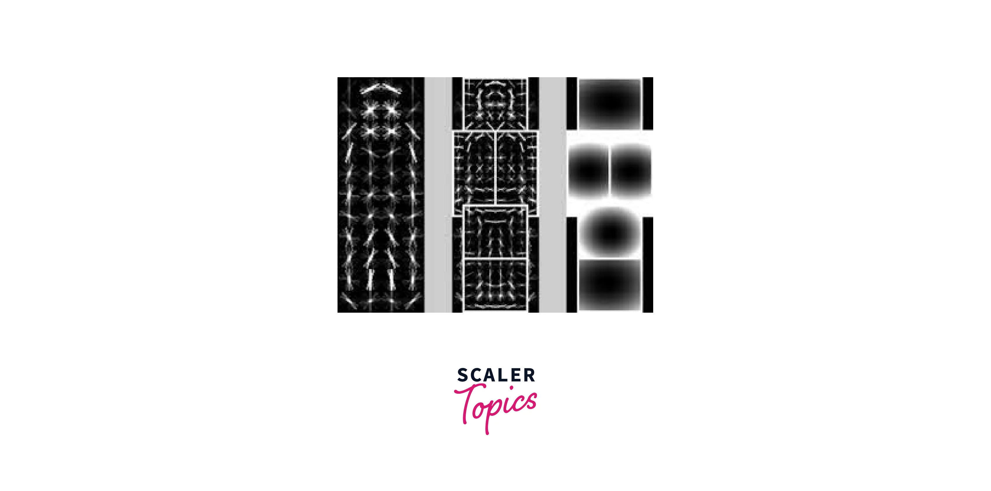 Human Pose Estimation in Deep Learning - Scaler Topics