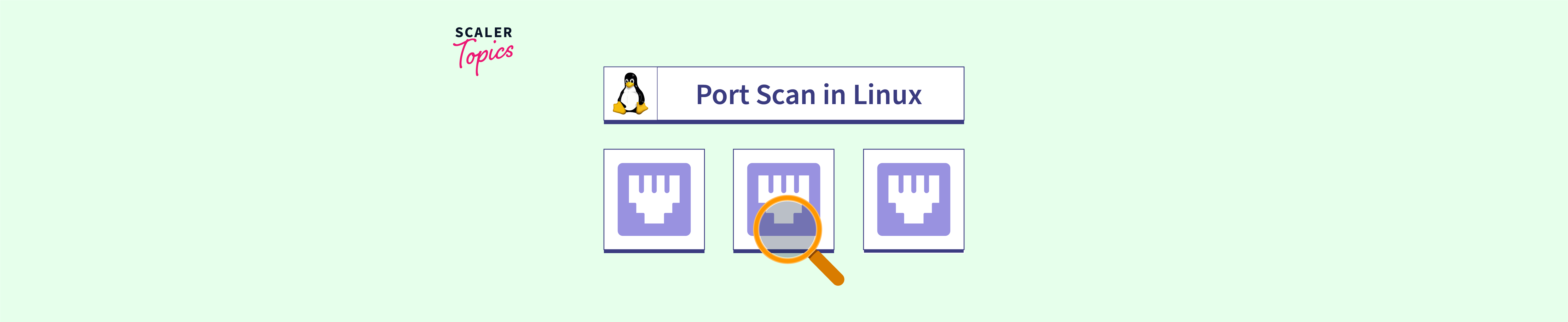 How do a Port Scan in Linux? - Scaler Topics