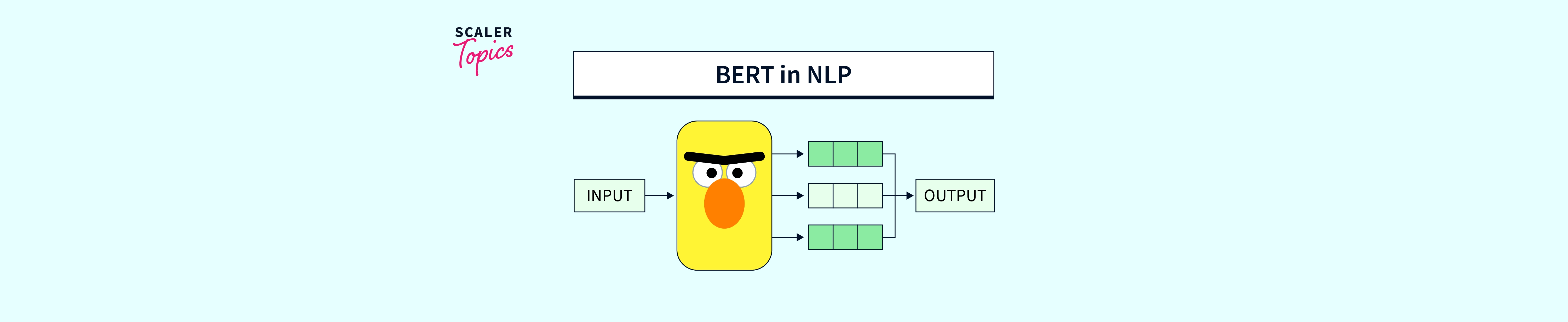 Hands-on BERT - Scaler Topics