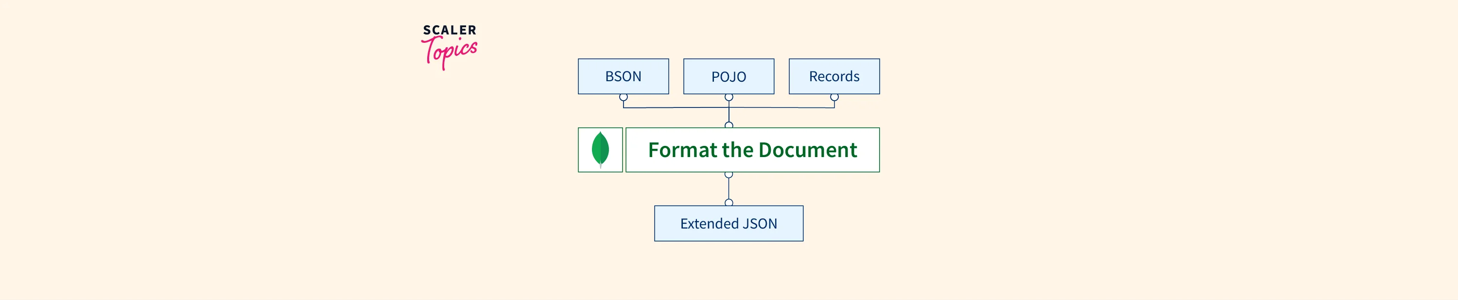 Format the Document- Scaler Topics