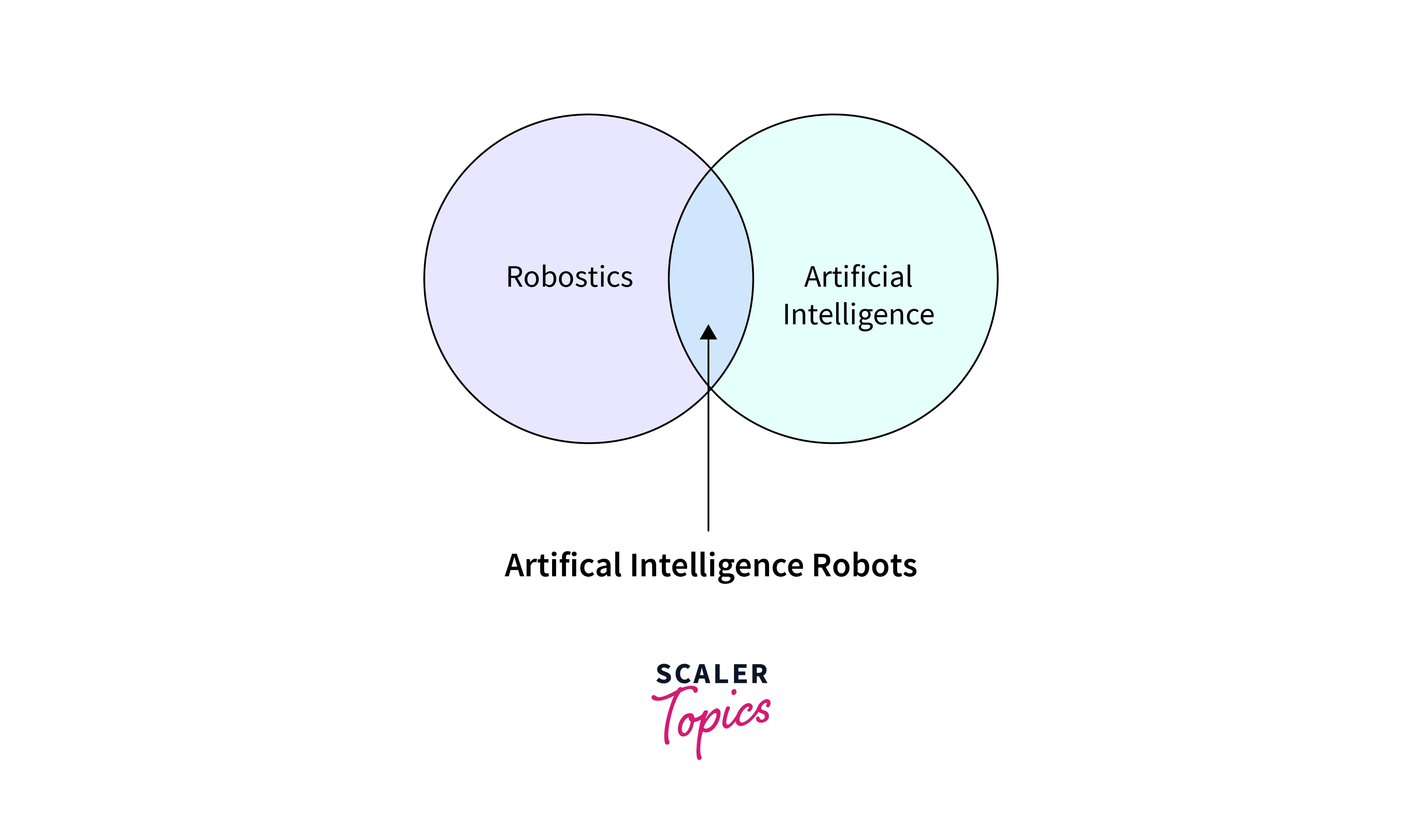 Top Career Opportunities in Artificial Intelligence (2024) - Scaler Topics