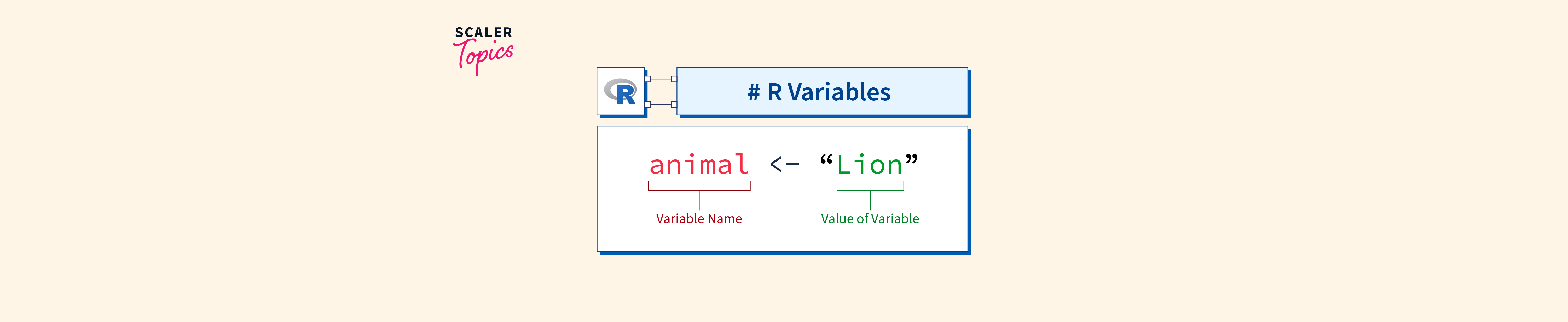 R Variables - Scaler Topics