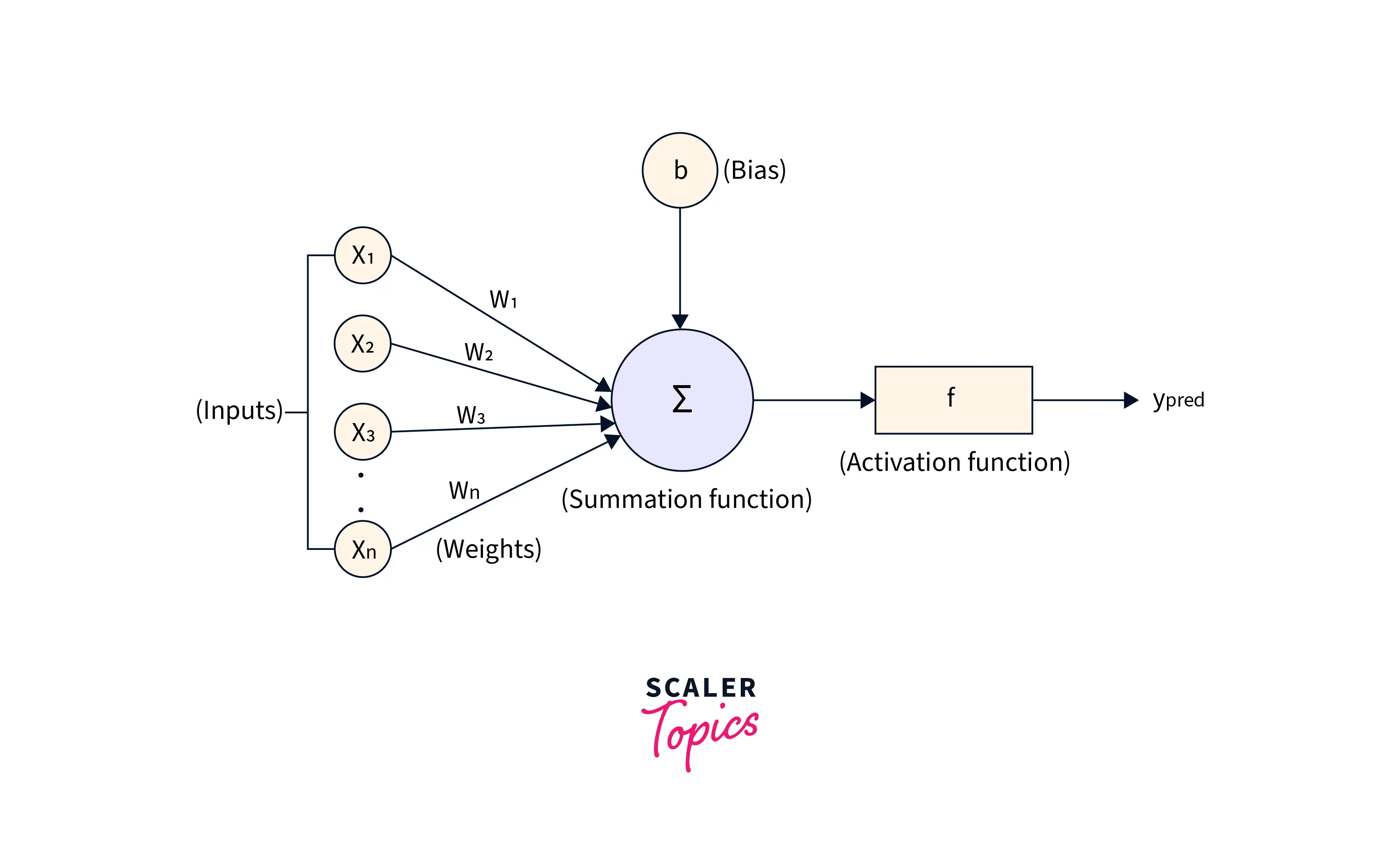 Building a Neural Network- Scaler Topics