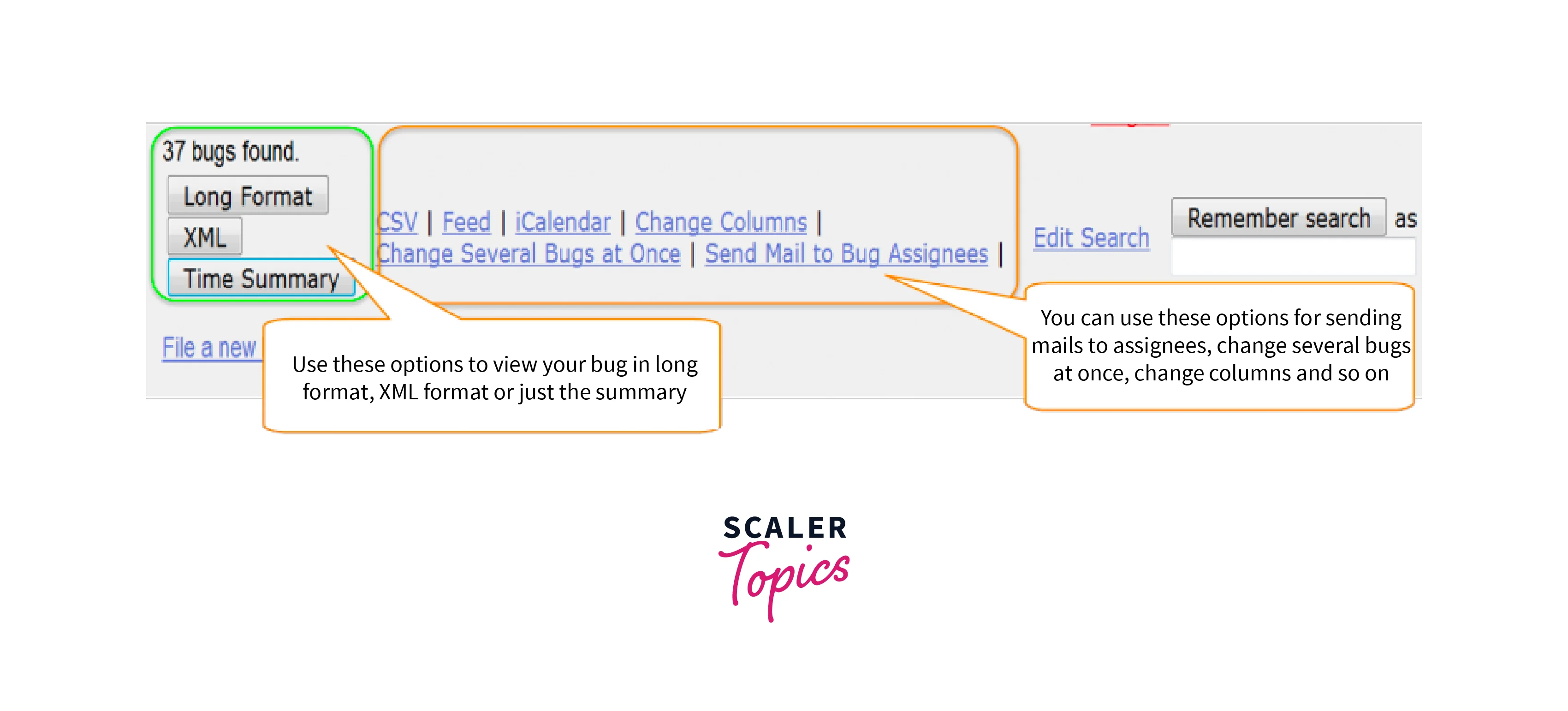 Simple Search Option in Bugzilla- Scaler Topics
