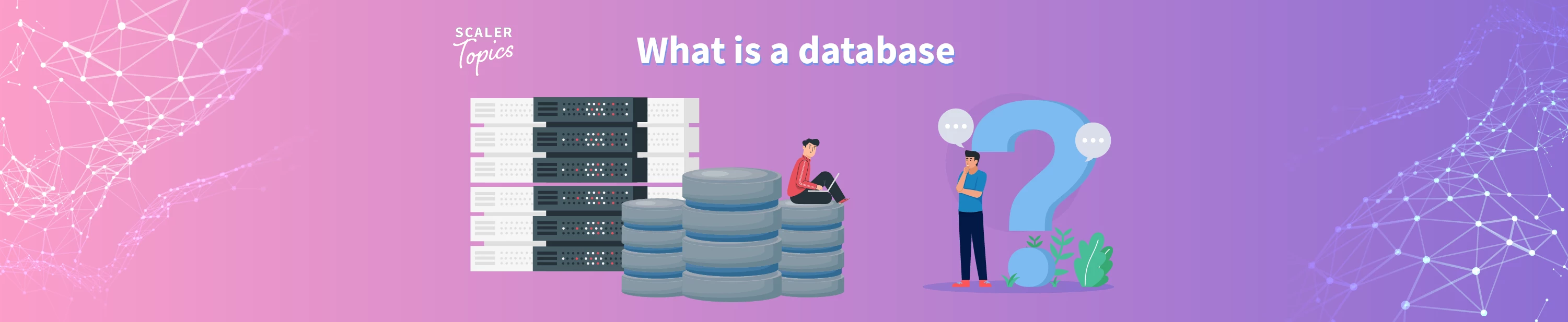 What is a Database? - Scaler Topics