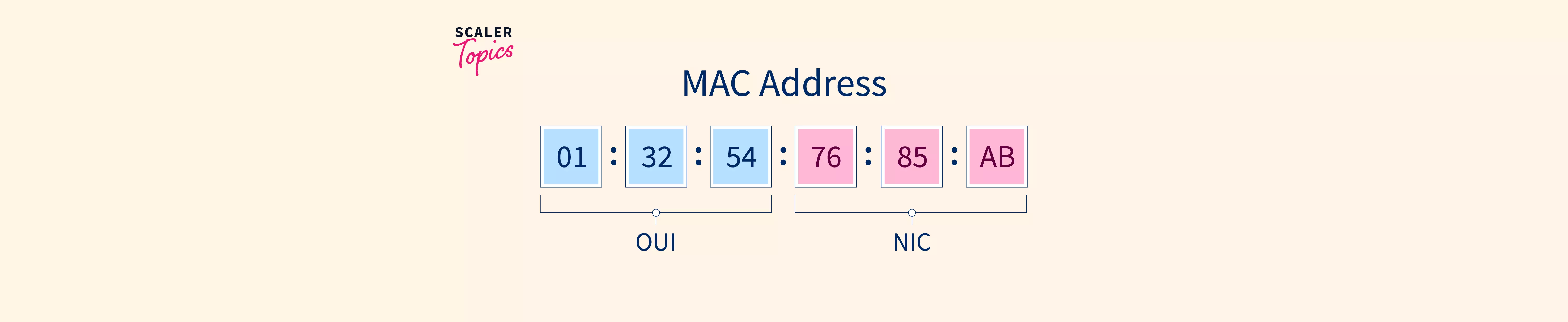 What is MAC Address? - Scaler Topics