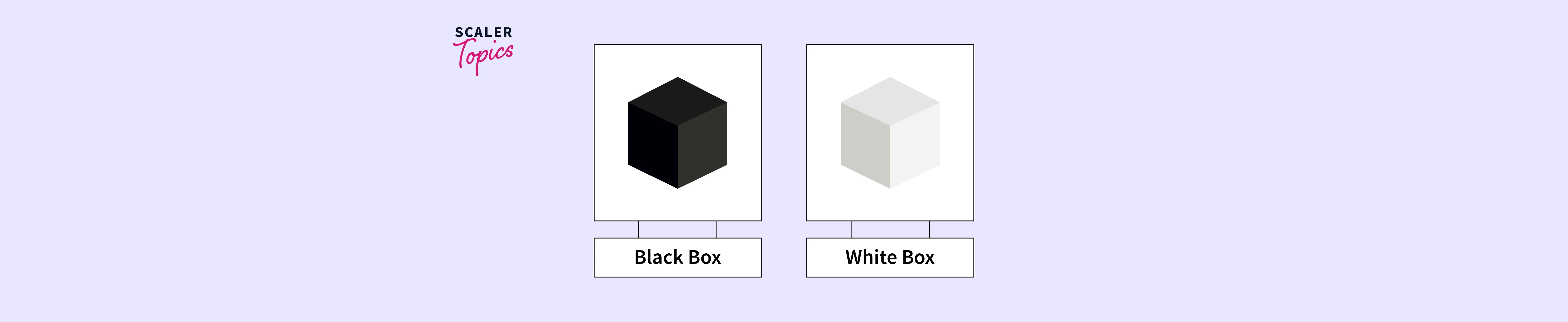 Difference between White Box and Black Box Testing - Scaler Topics